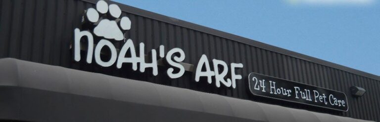 DaySmart | The 10 Funniest Dog Kennel and Dog Grooming Names