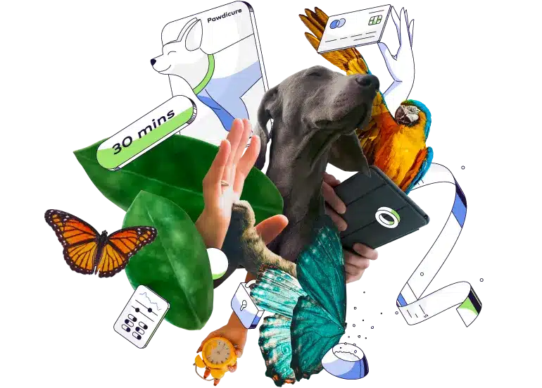 Pet Business Software for Groomers, Kennels, and More | DaySmart Pet