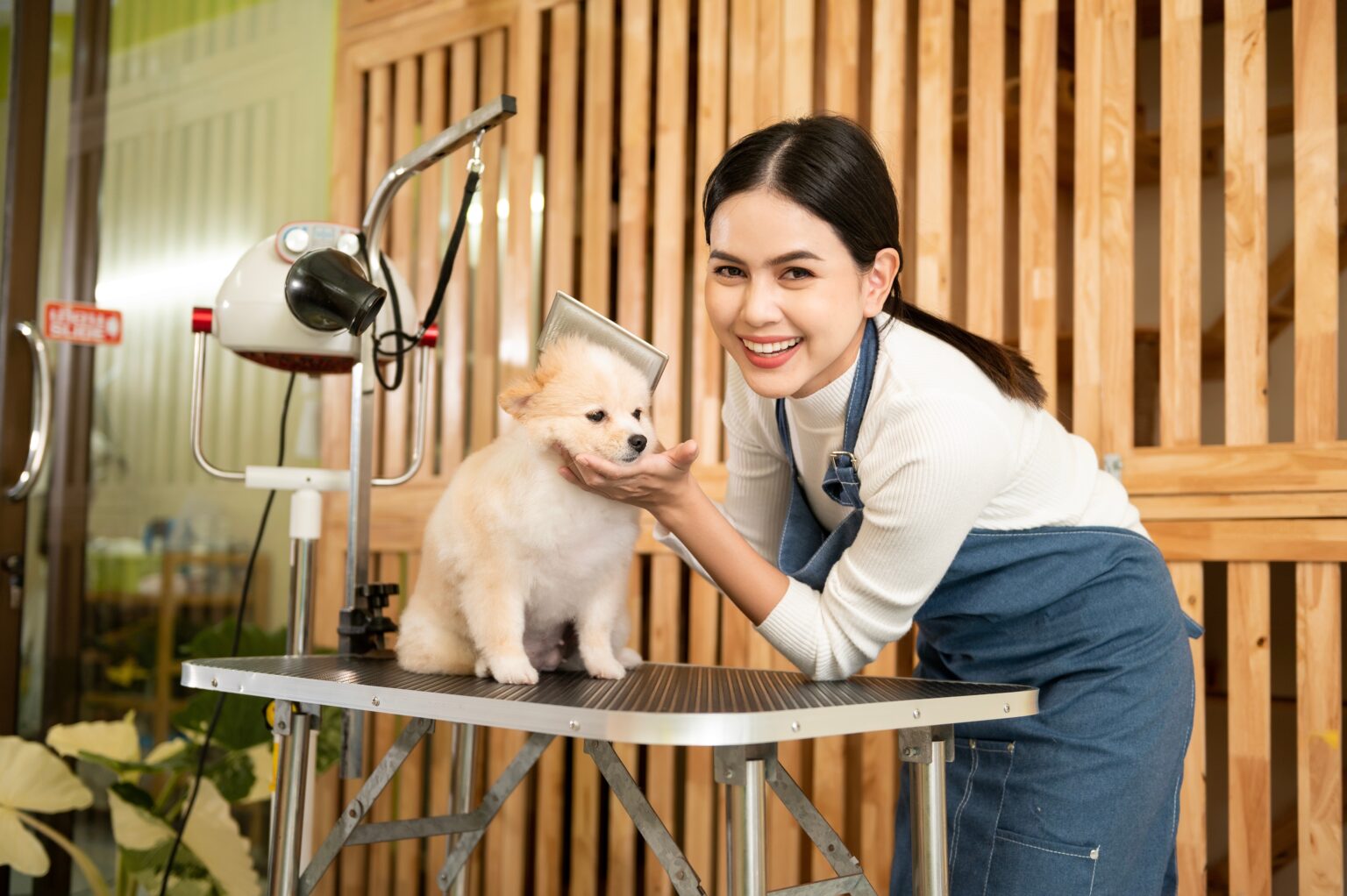 Buying an Existing Pet Grooming Business | DaySmart Pet