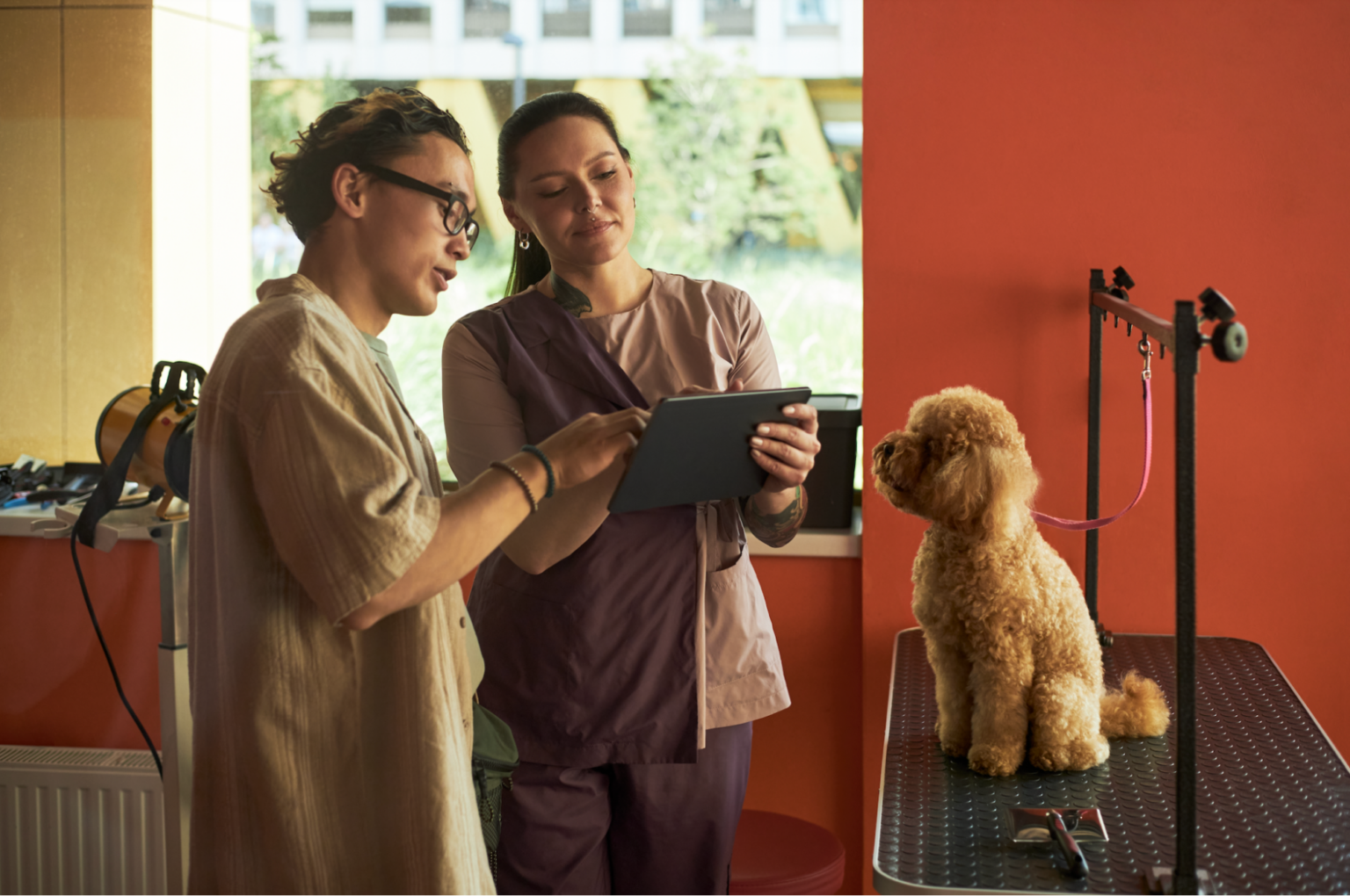 Dog Grooming CRM to Grow Your Business | DaySmart Pet