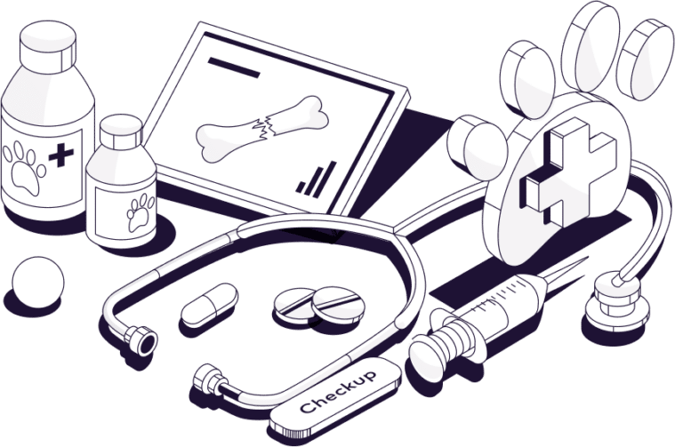 Veterinary Software | DaySmart Vet