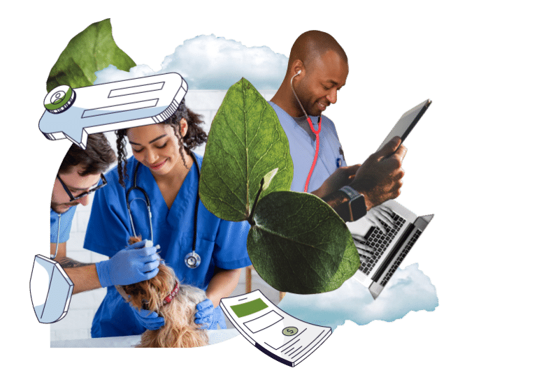 Veterinary Software | DaySmart Vet