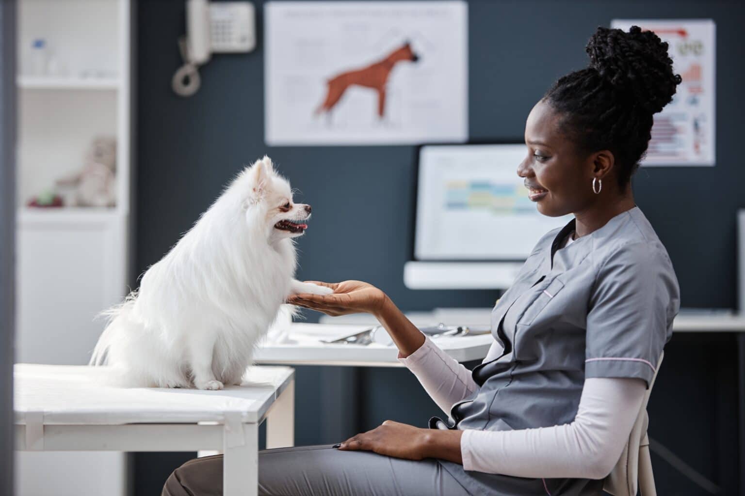 Best Veterinary Medical Record Software in 2025 | DaySmart Vet