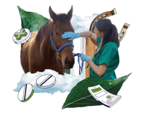 Equine Practice Management Software - DaySmart Vet