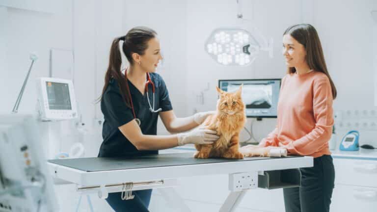 Veterinary Software | DaySmart Vet (Powered by Vetter)