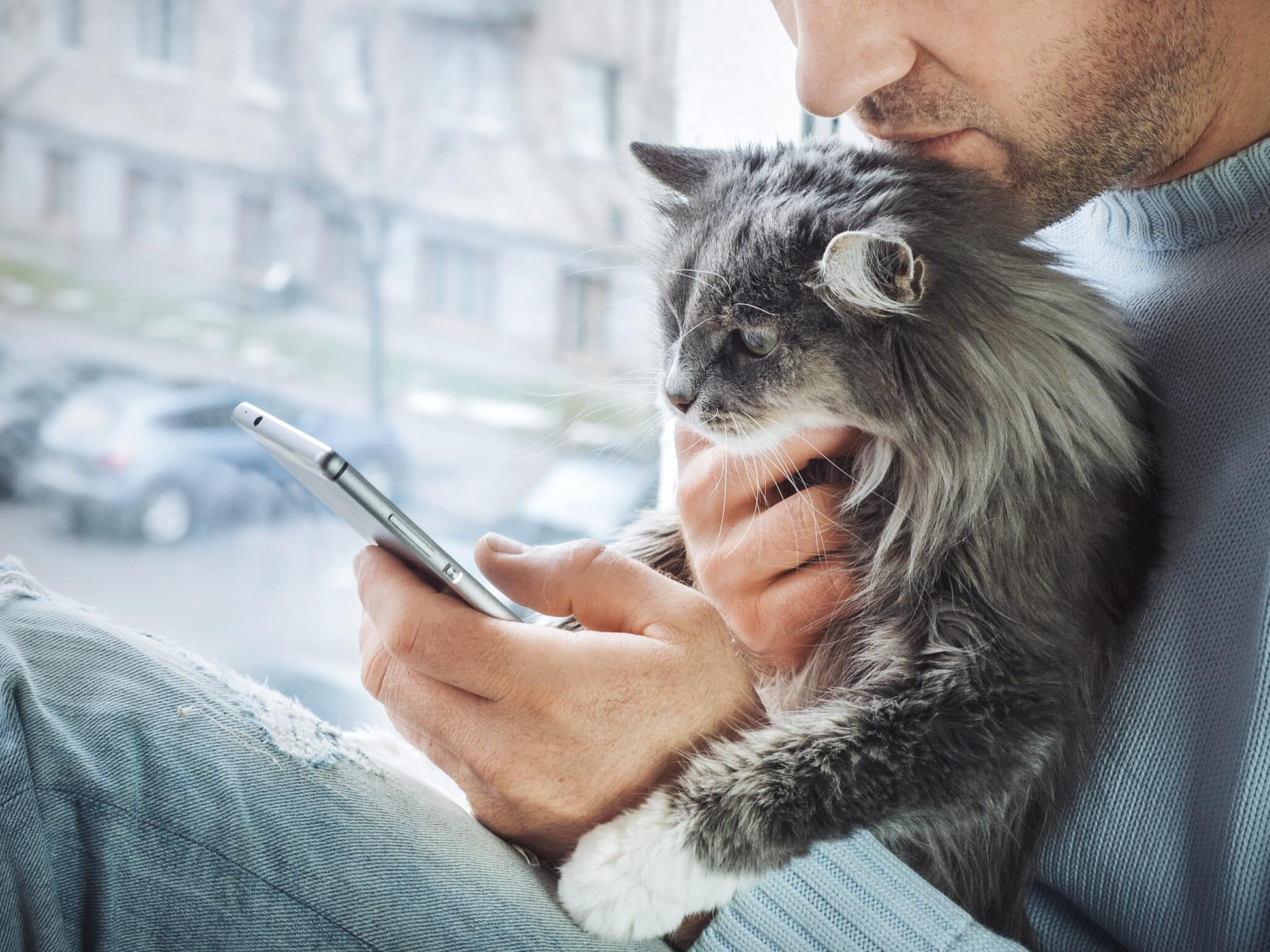 5 Best Veterinary Client Communication Software Solutions - DaySmart Vet