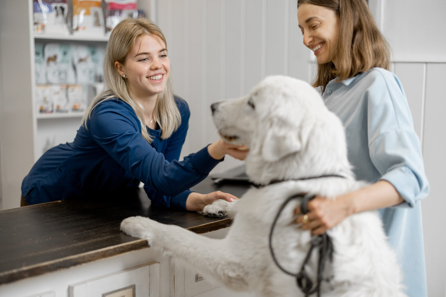 Cloud-Based Veterinary Practice Management Software | DaySmart Vet ...